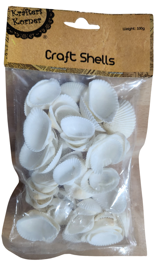 Craft Shells (100 grams) | Order Wholesale